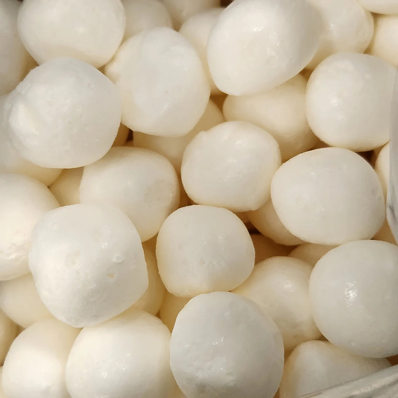 Freeze Dried Minties – The Sweets Lab