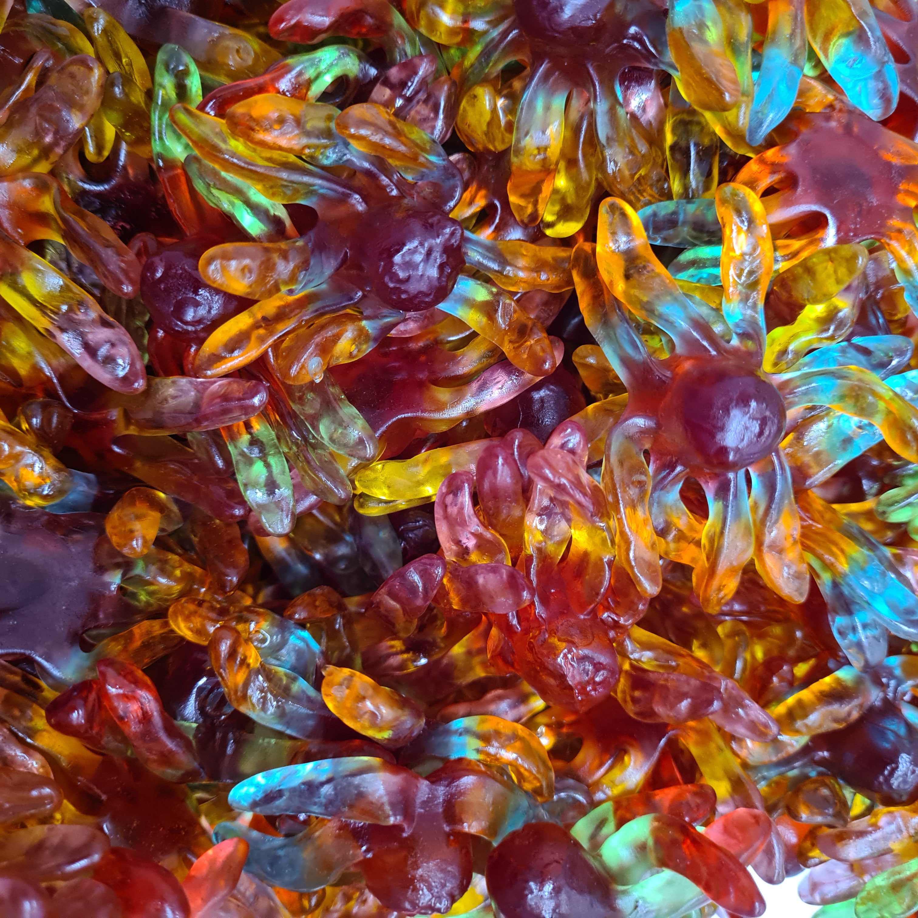 Gummi Octopus – The Sweets Lab