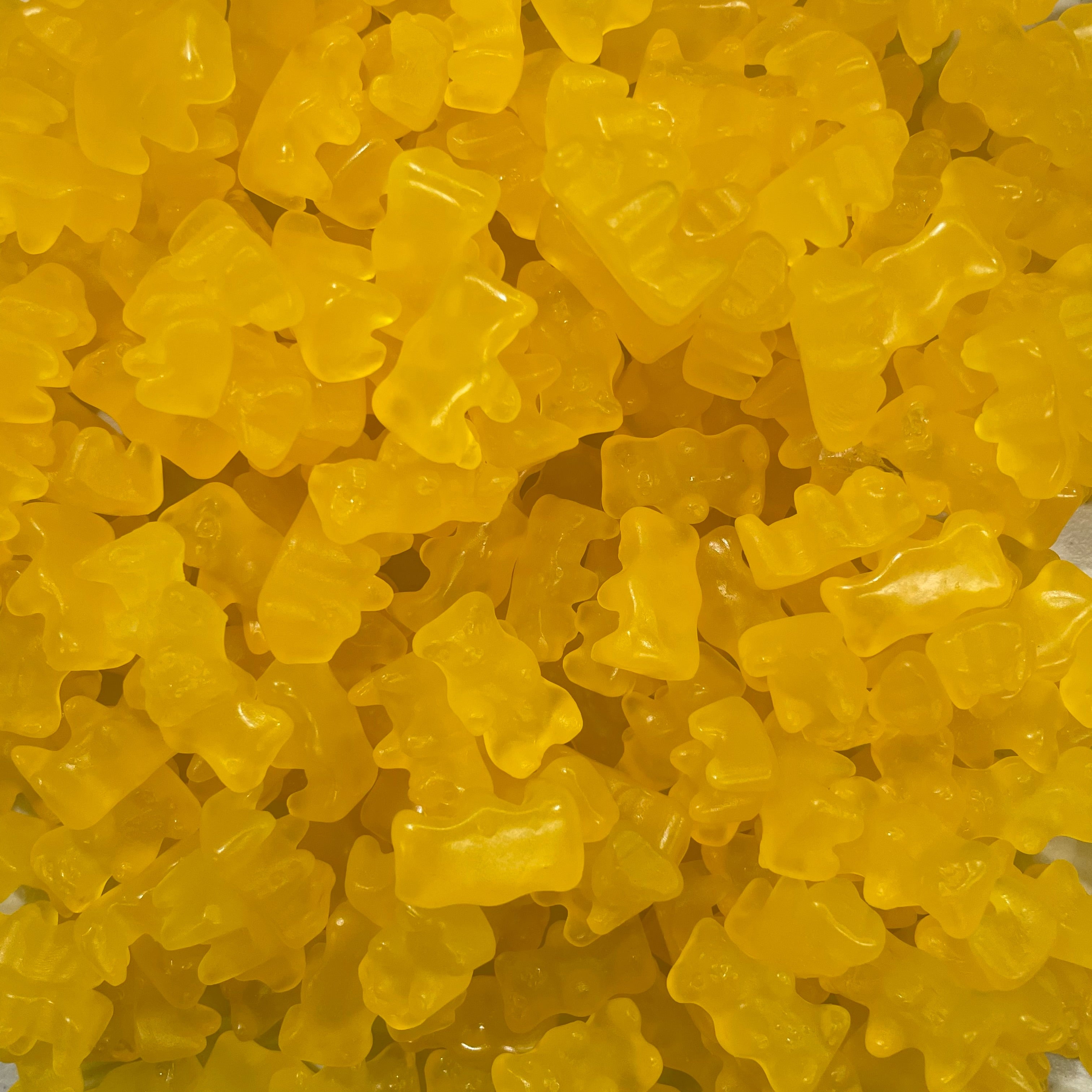 Honey Bears – The Sweets Lab